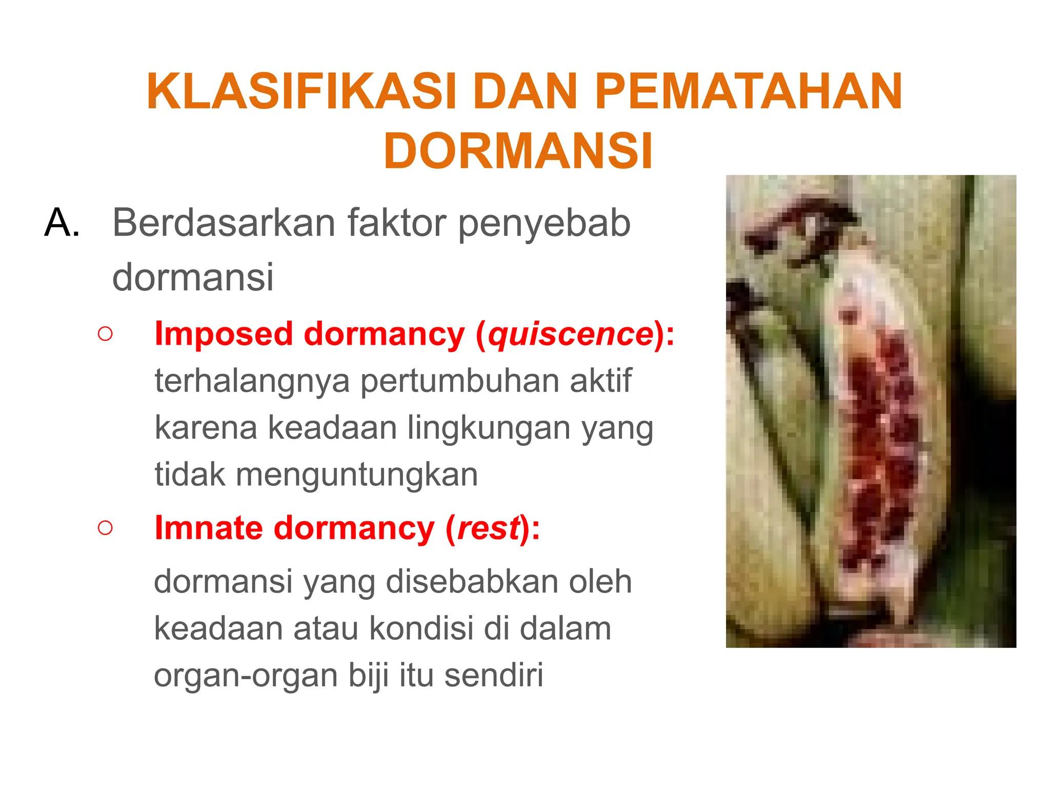 Mengenal Dormansi Benih pada Tanaman dan jenisnya | PPTX