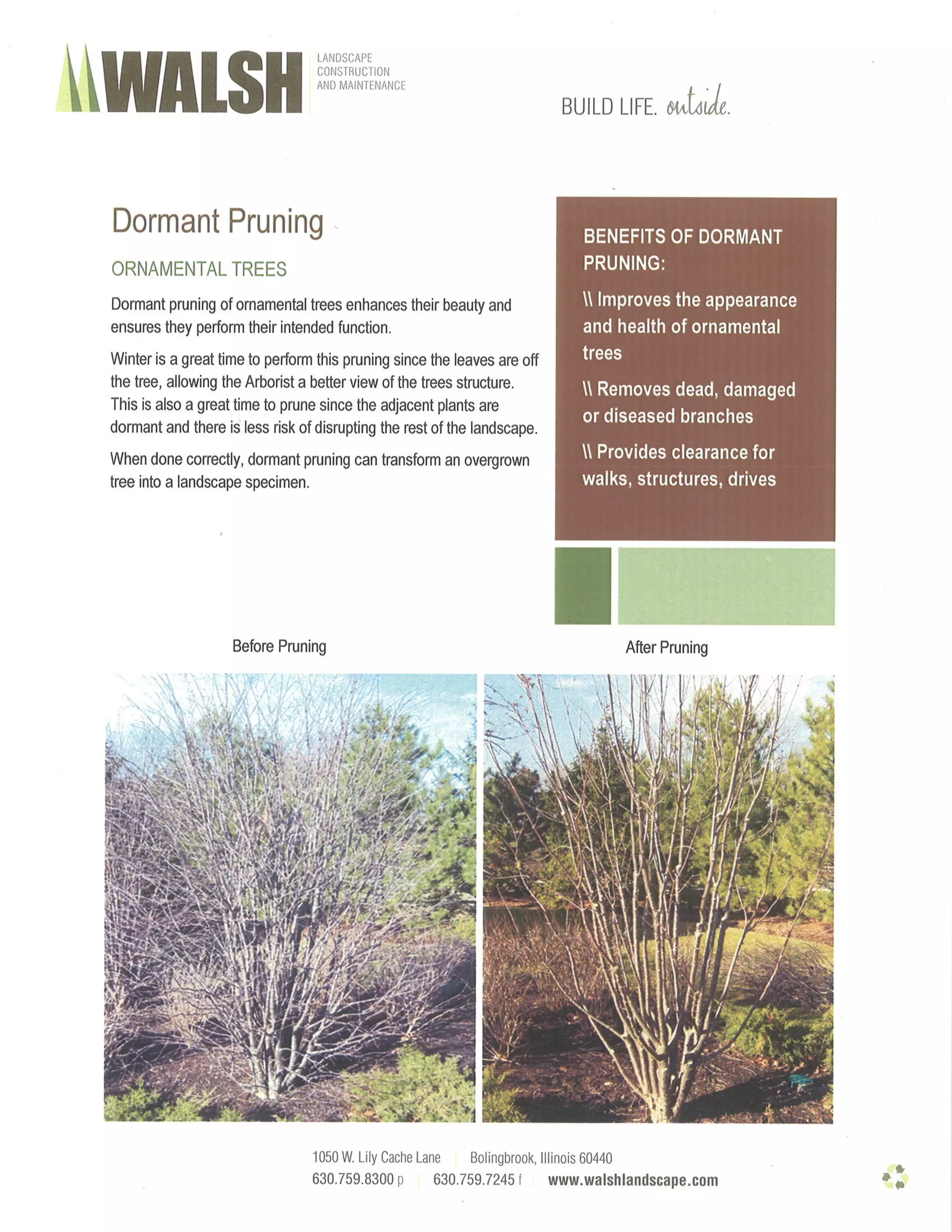 Dormant Pruning Information | PDF