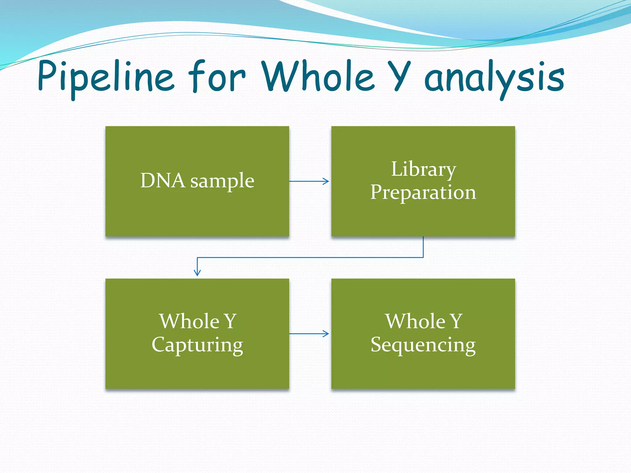 The Origin of Ashkenazi Levites | PPT