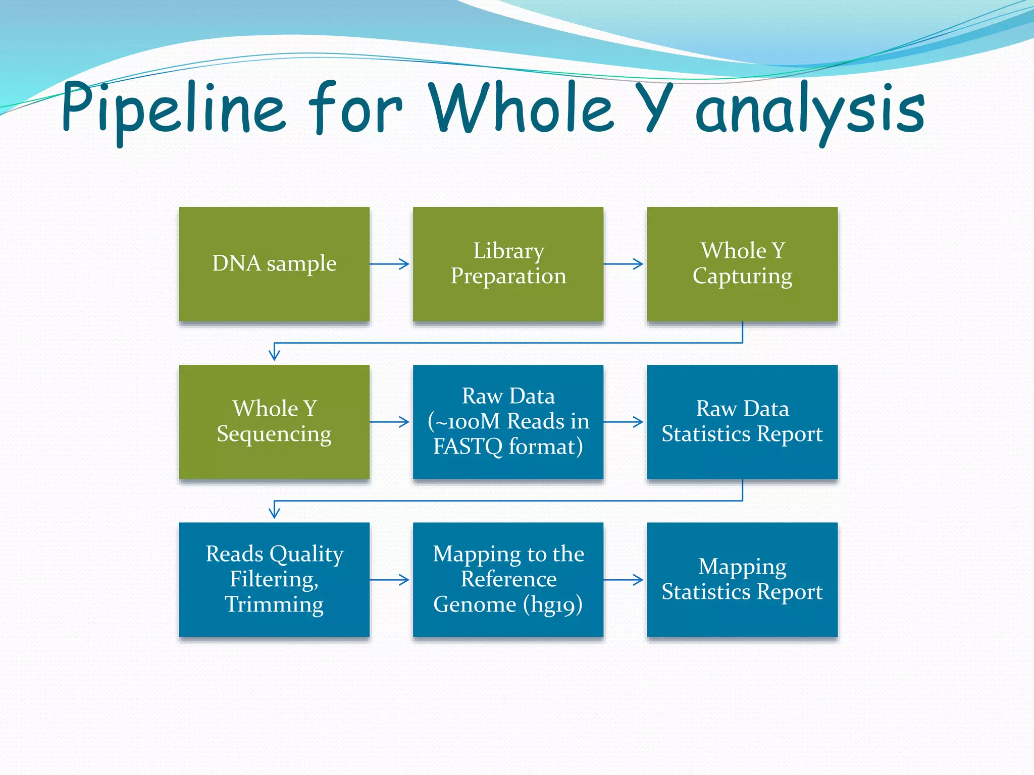 The Origin of Ashkenazi Levites | PPT