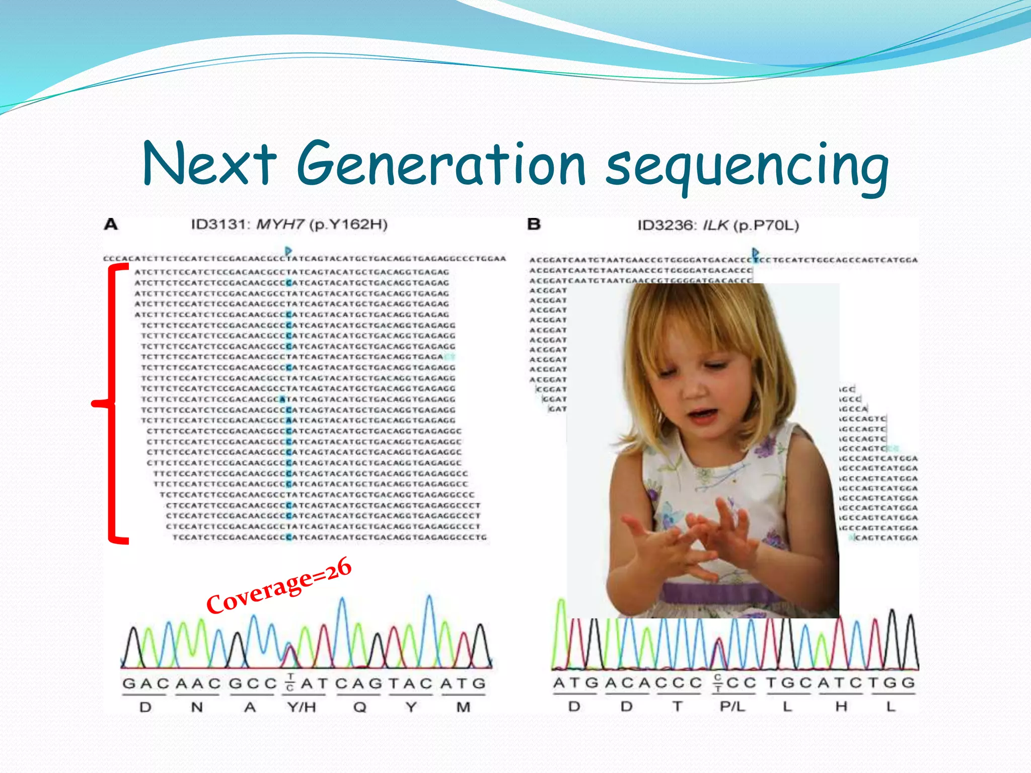 The Origin of Ashkenazi Levites | PPT