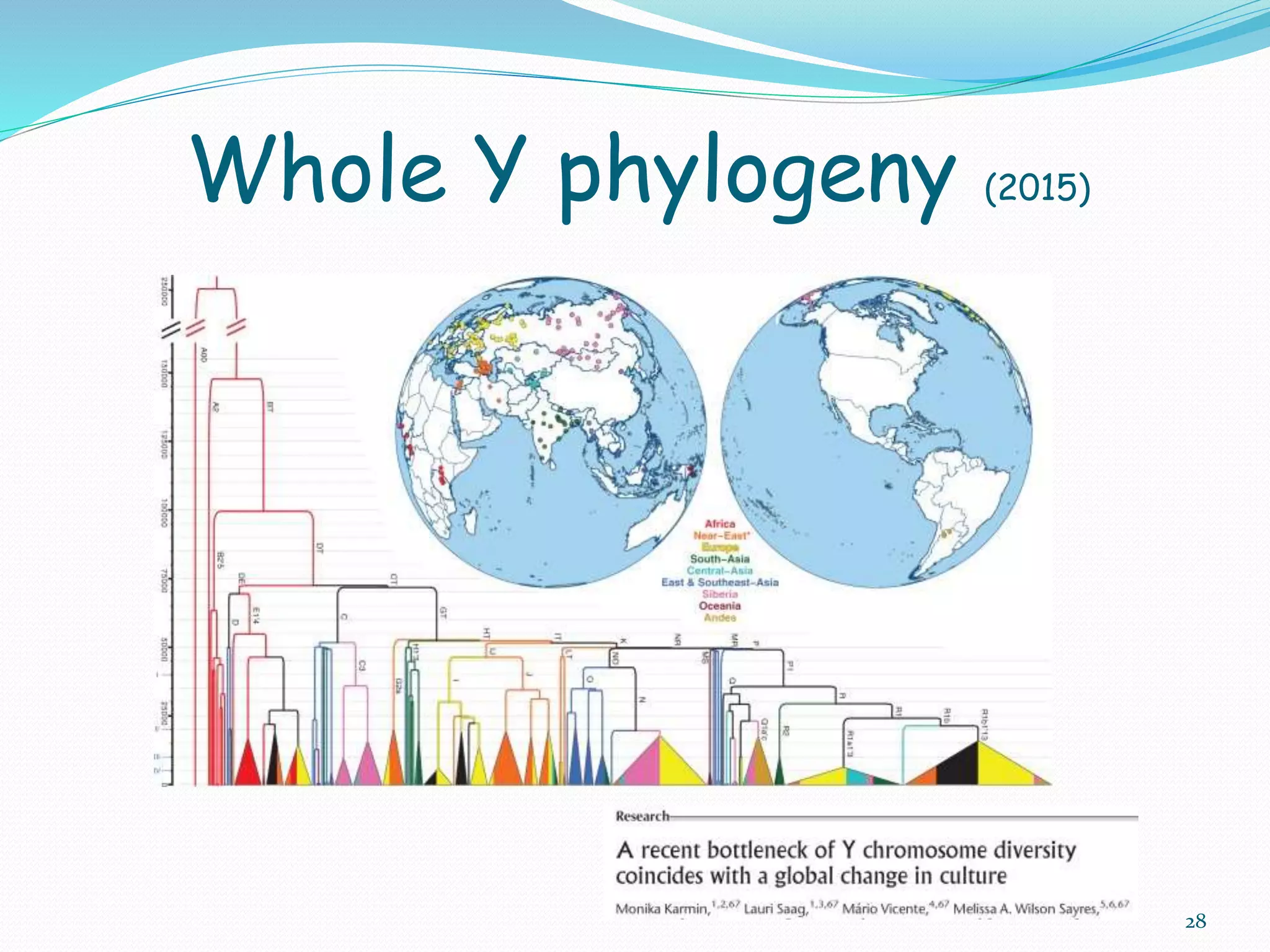 The Origin of Ashkenazi Levites | PPT