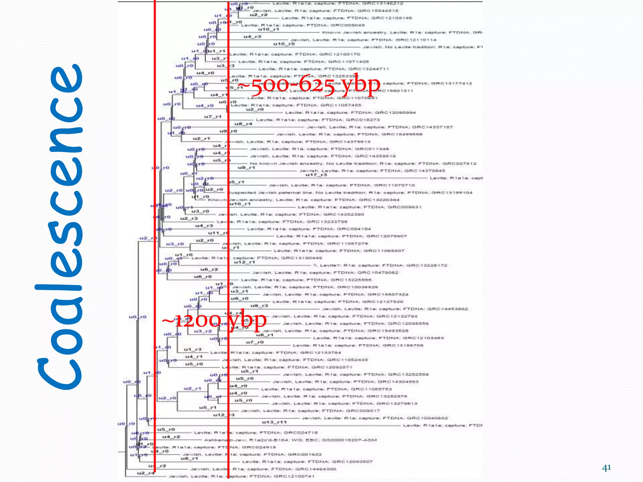 The Origin of Ashkenazi Levites | PPT