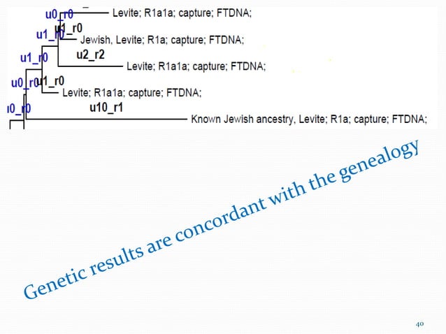 The Origin of Ashkenazi Levites | PPT