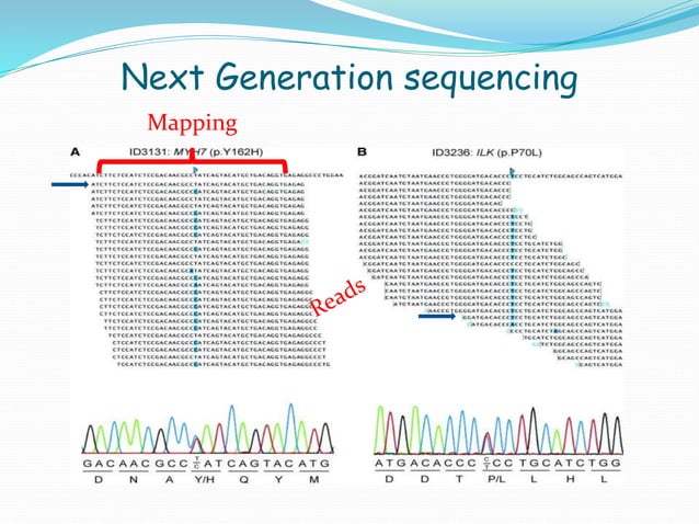 The Origin of Ashkenazi Levites