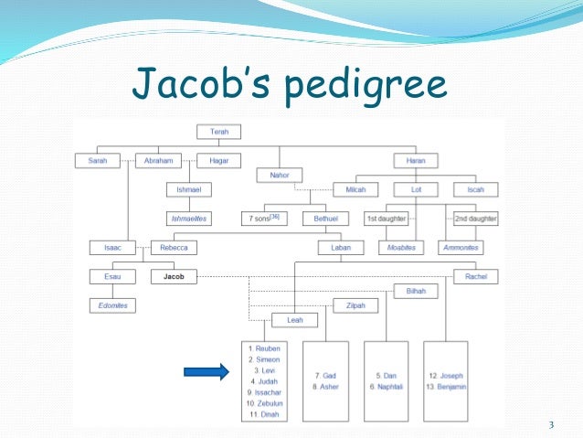 The Origin of Ashkenazi Levites