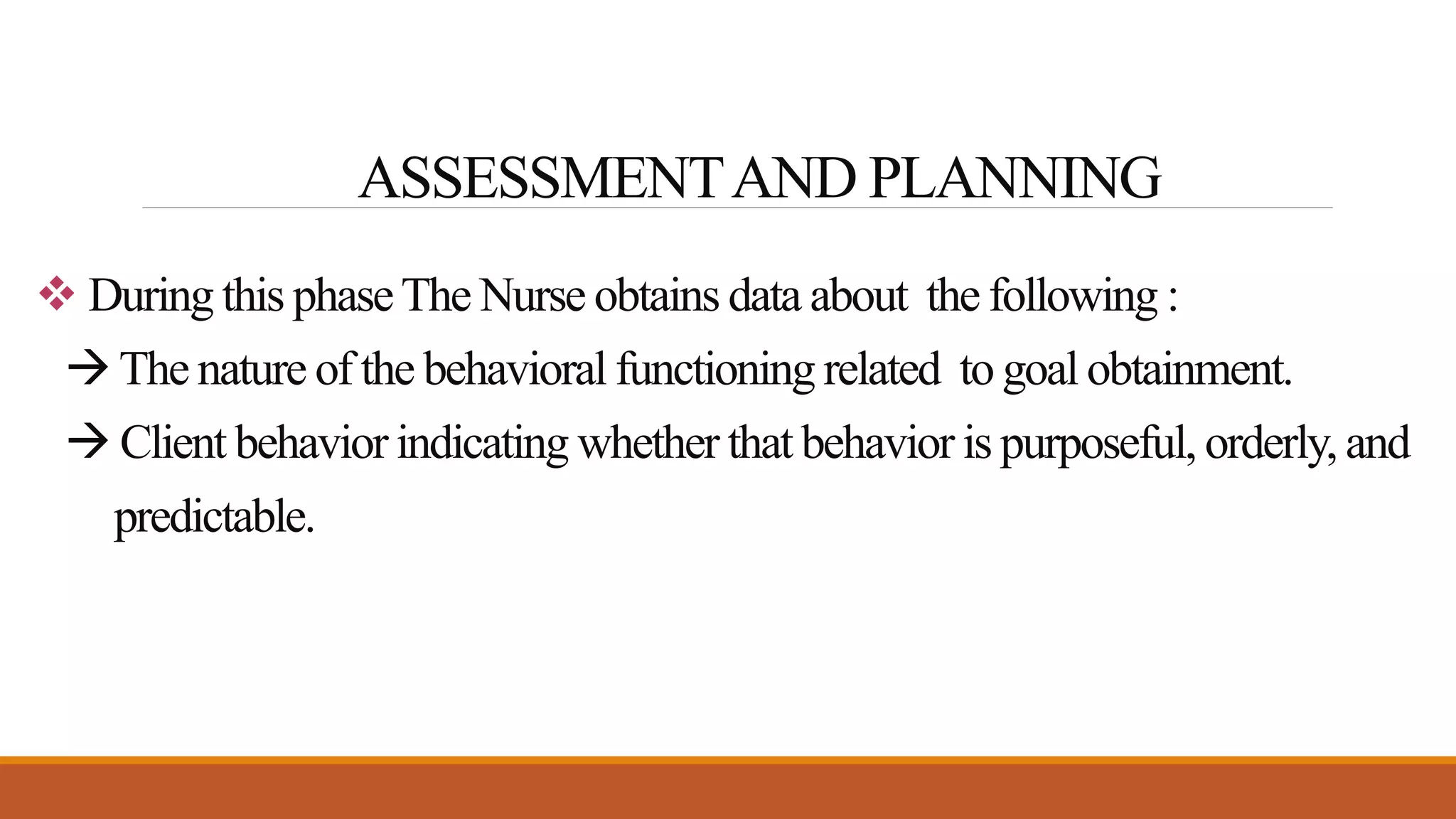 The Behavioral System Model - Dorothy.E.Johnson | PPTX