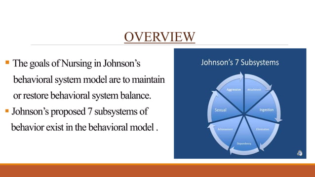 The Behavioral System Model - Dorothy.E.Johnson | PPTX