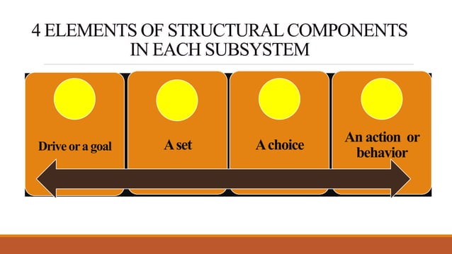 The Behavioral System Model - Dorothy.E.Johnson | PPTX