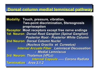 Dorsal column | PPT