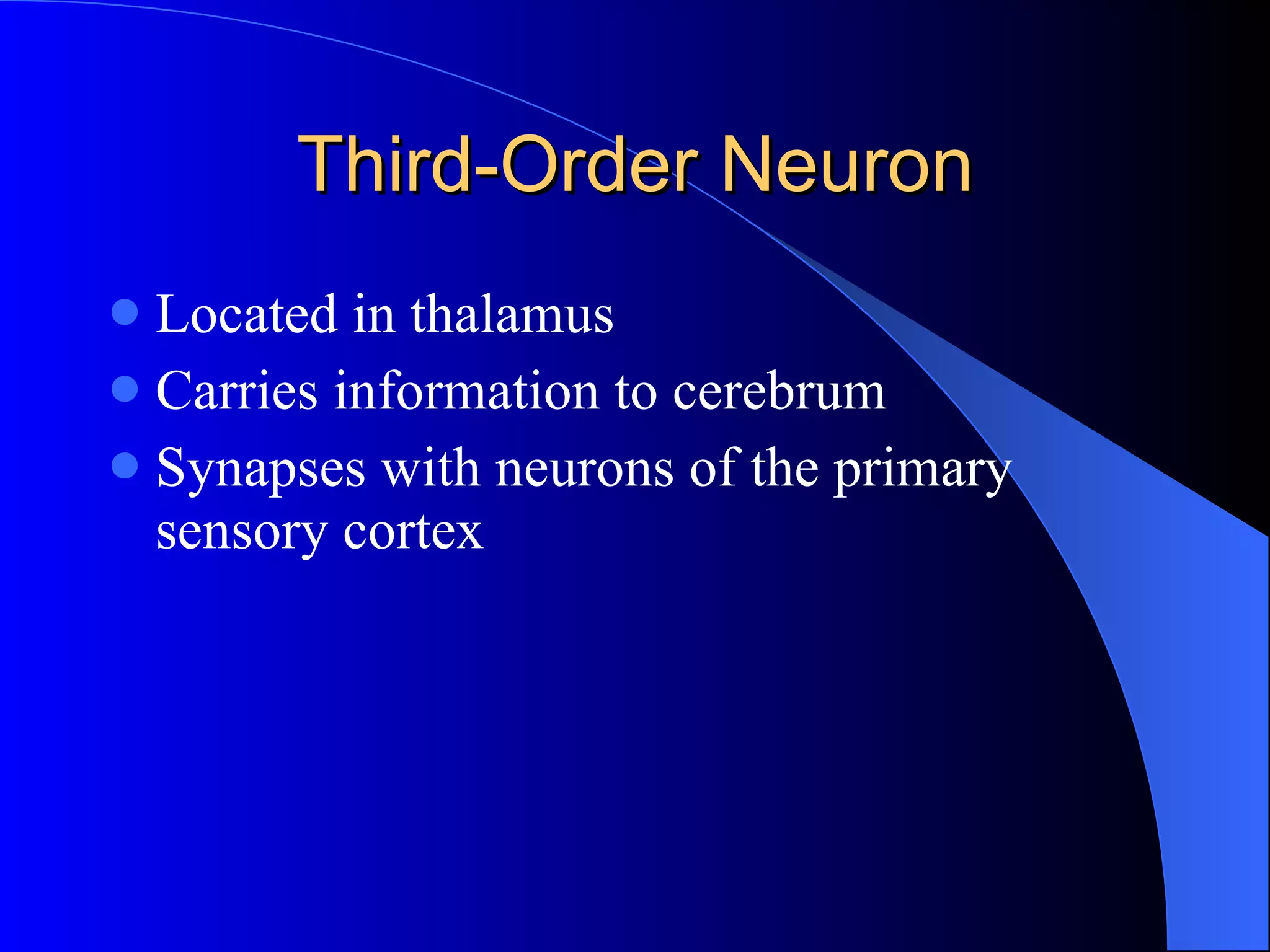 Dorsal column pathway | PPT