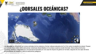 DORSALES.pptx