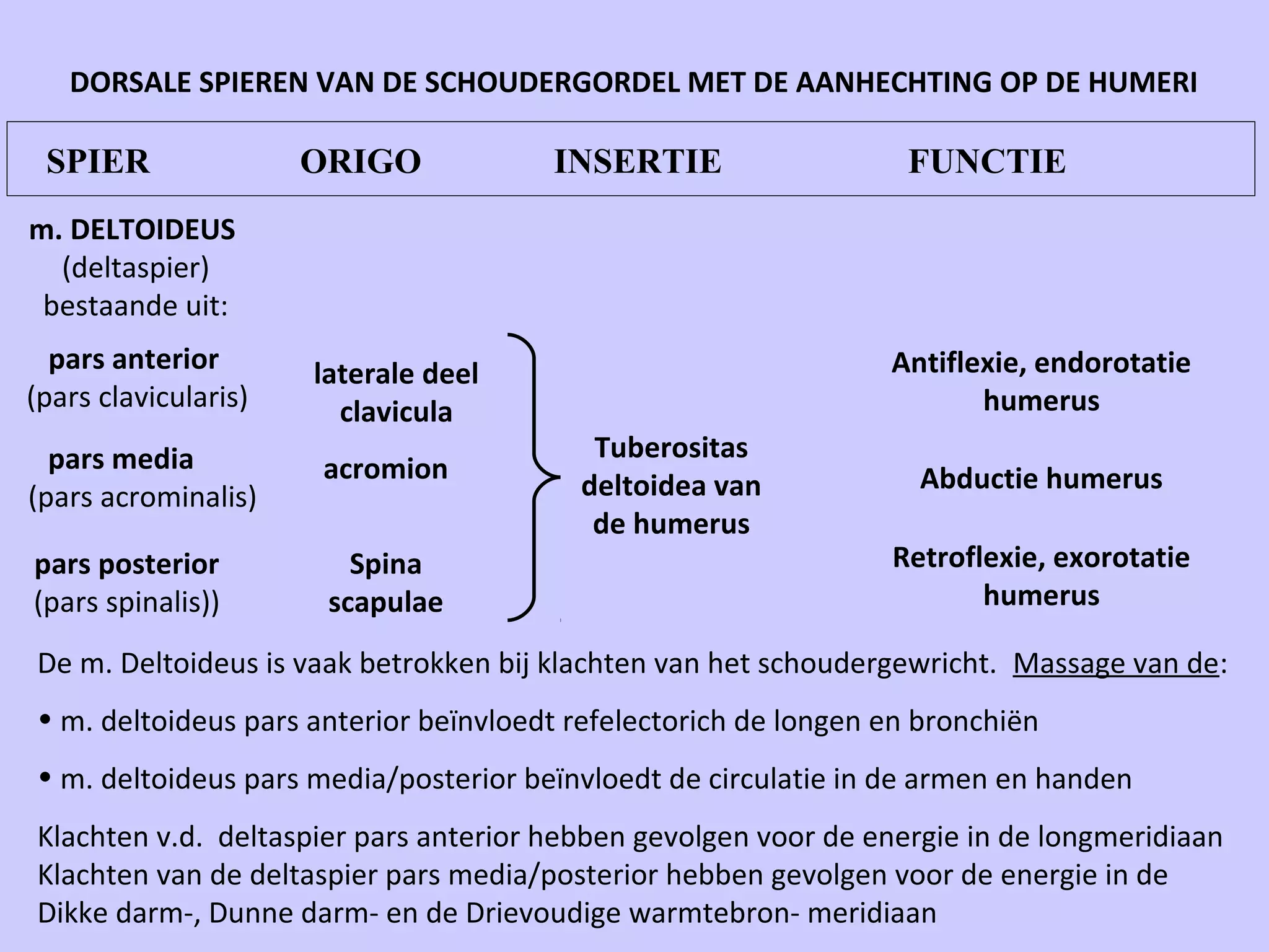 Dorsale spieren van rug en schoudergordel | PPT | Death, Injury, or ...