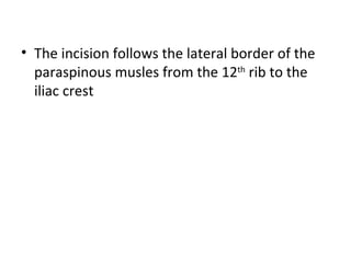 Dorsal Lumbotomy | PPT