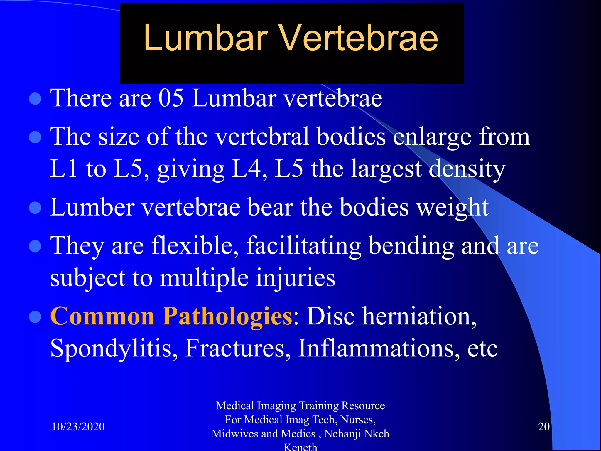 Dorso lumbar spine x-ray radiology training resource nchanji nkeh ...