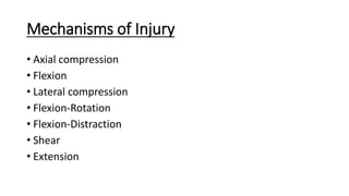 dorsolumbar injuries.pptx