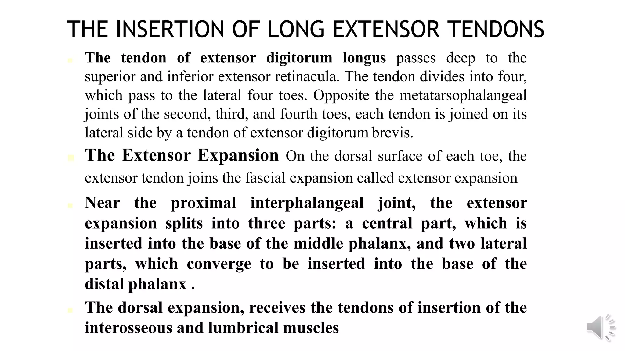 Dorsum of foot and medial side of leg | PPTX