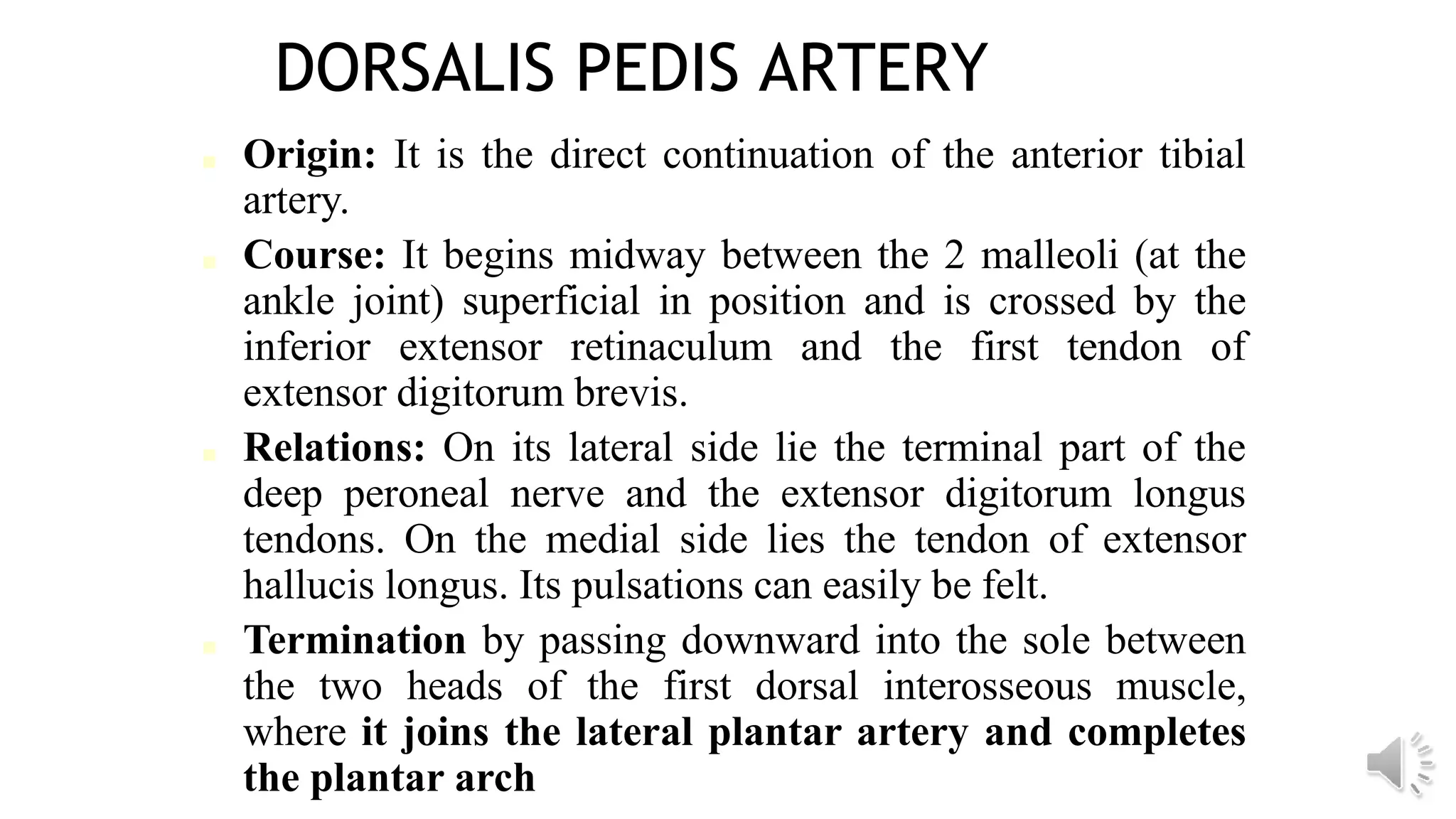 Dorsum of foot and medial side of leg | PPTX
