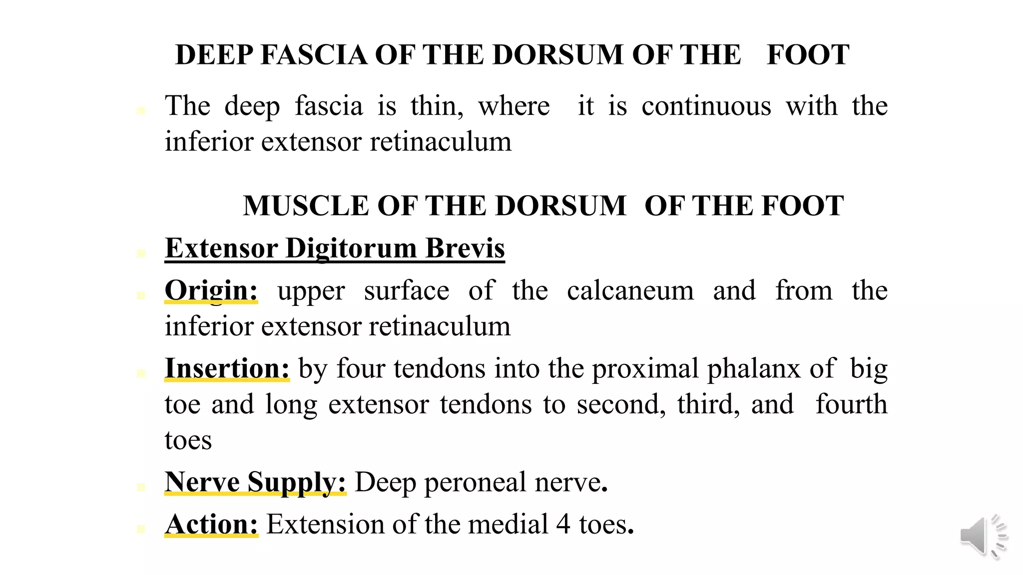 Dorsum of foot and medial side of leg | PPTX