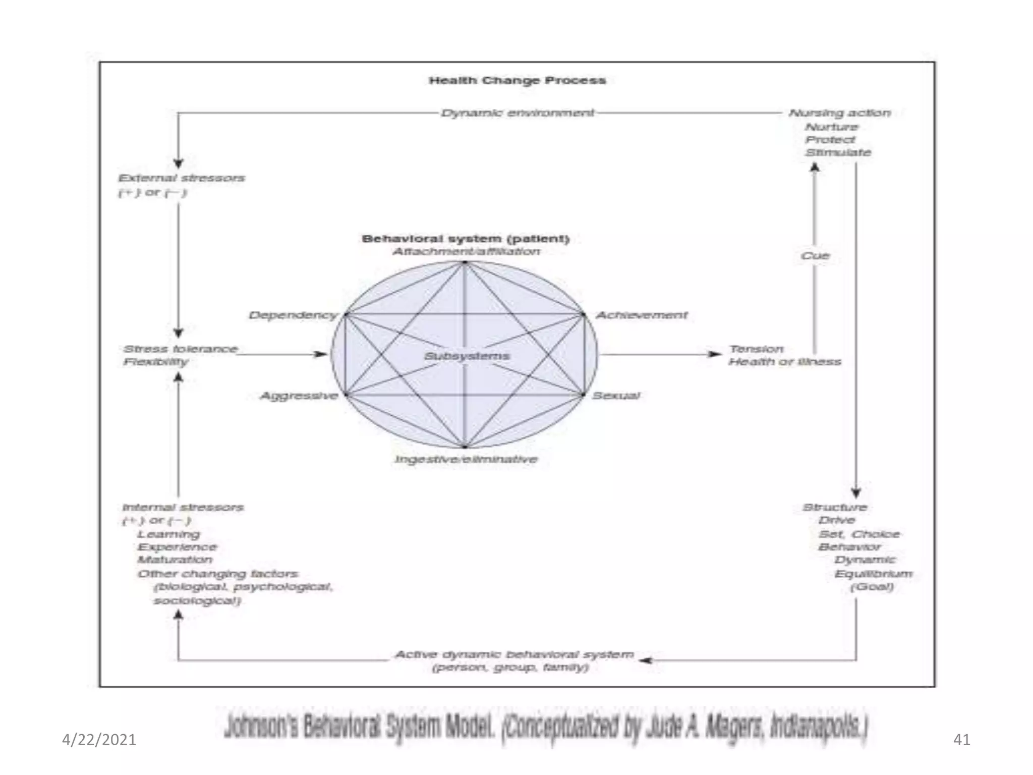 Dorothy e. Johnson behavioral system model JBSM 1 (2) | PPTX