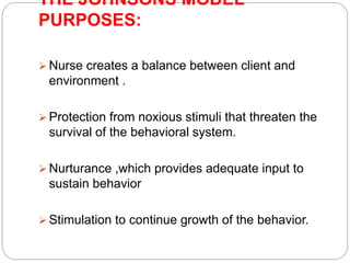 Dorthy jonson ppt tk | PPTX