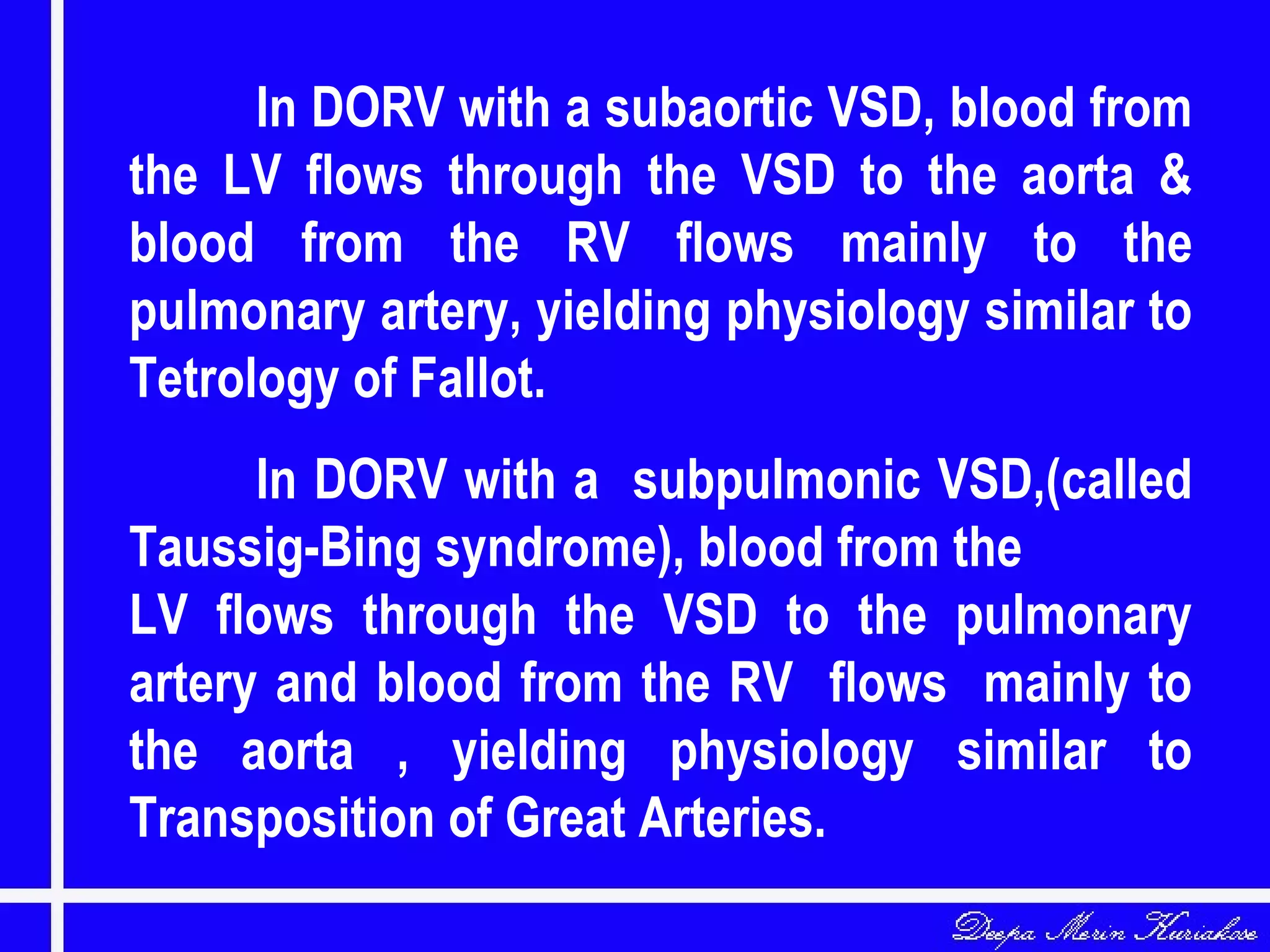 D o r v | PPS
