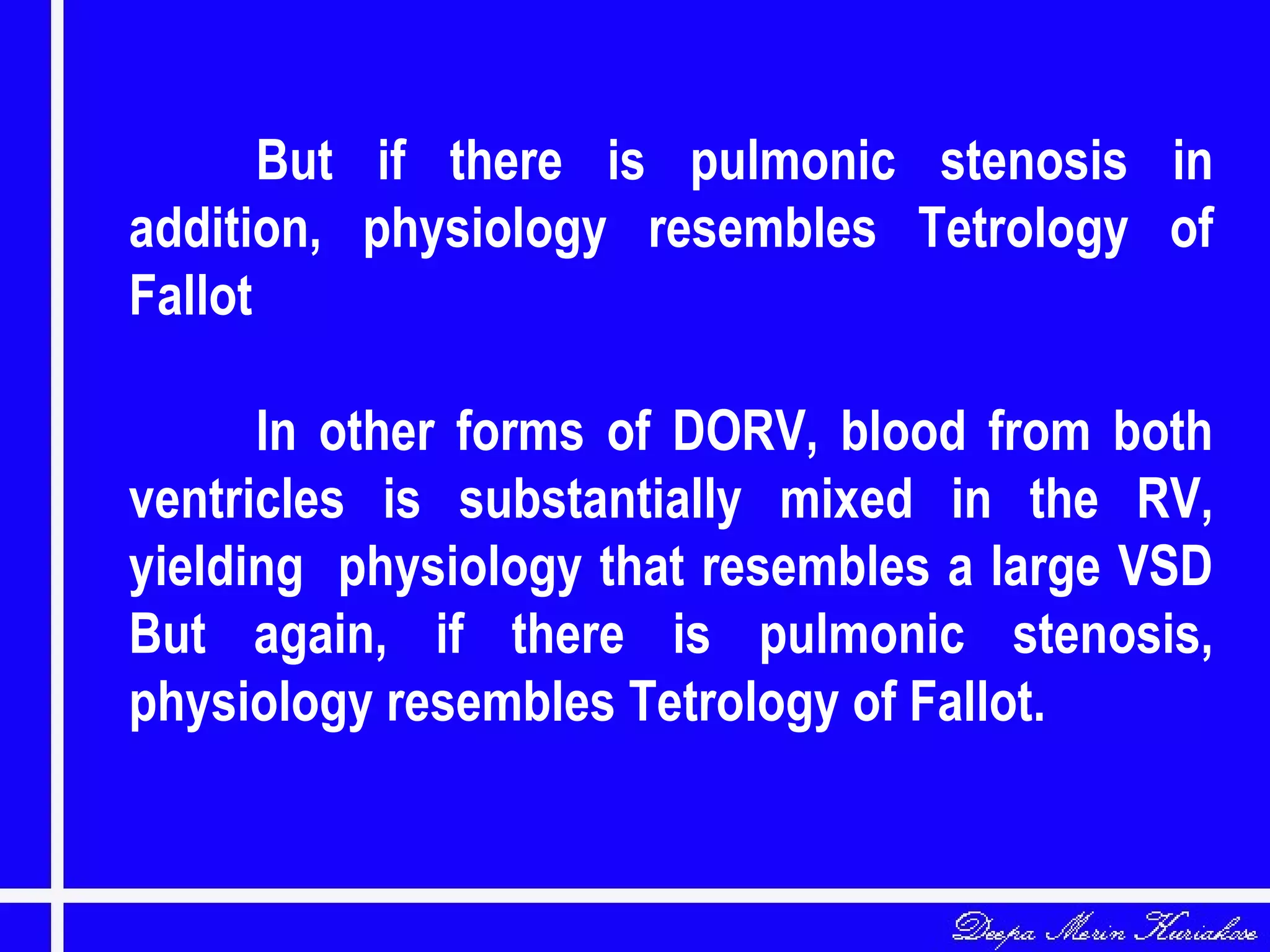D o r v | PPS