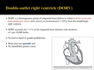Dorv ppt | PPTX