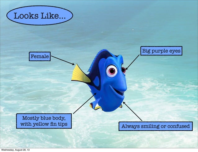 Dory characterization | PDF