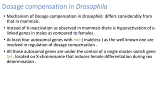 dosage compensation in human genetics.pptx