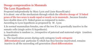 dosage compensation in human genetics.pptx