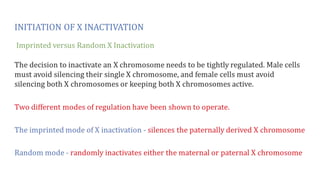 dosage compensation in human genetics.pptx