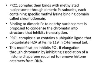 Dosage Compensation Genetics Transposable genetical elements | PPTX