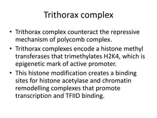 Dosage Compensation Genetics Transposable genetical elements | PPTX