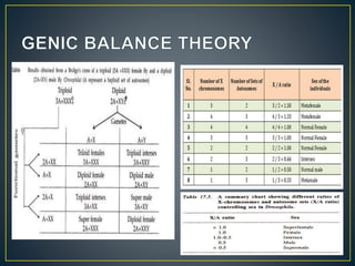Dosage compensation ∧ sex determination in drosophila | PPTX