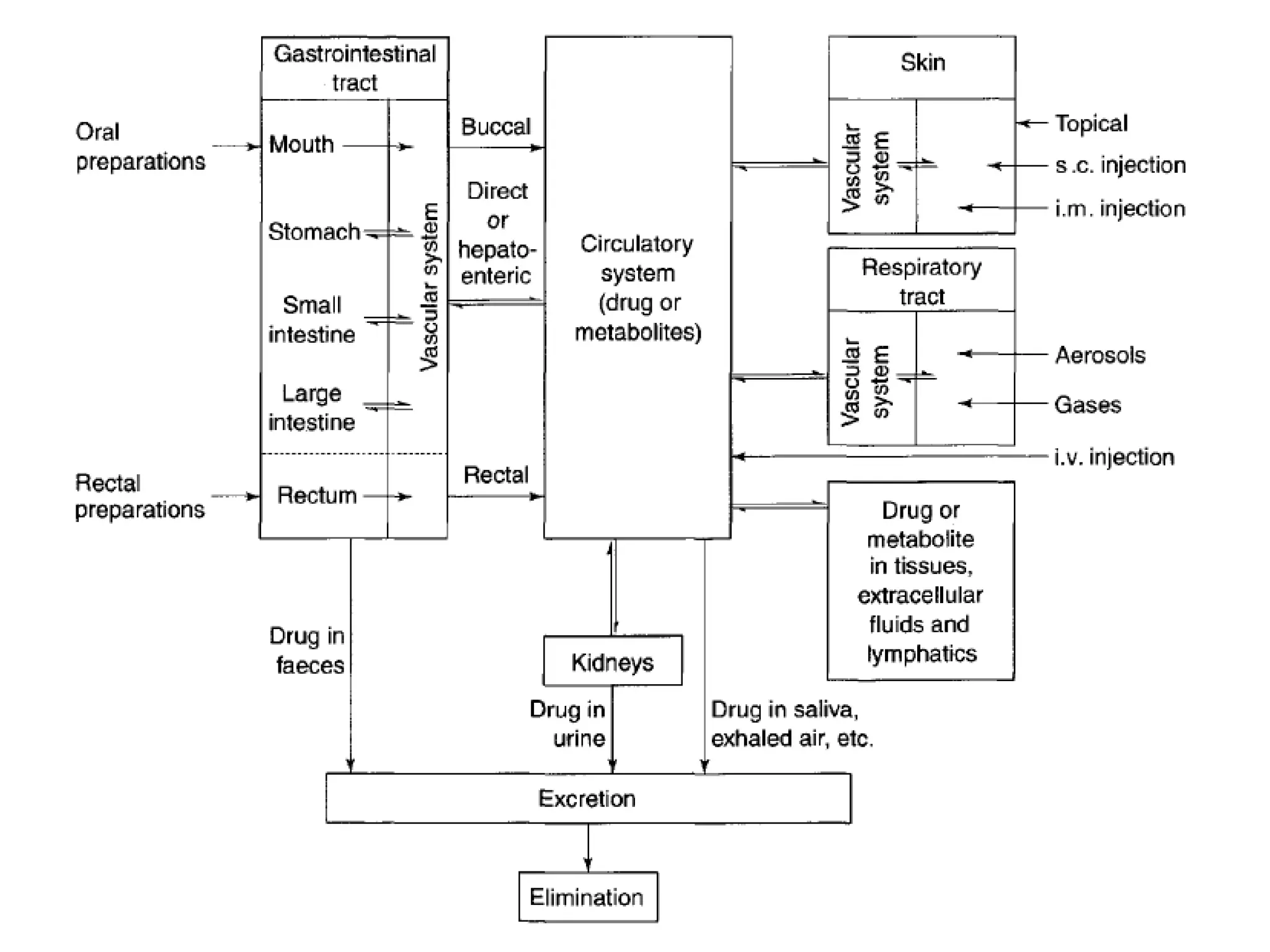 Dosage form design - Biopharmaceutical consideration | PPT