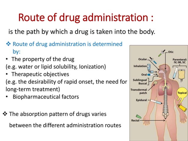 Dosage forms and routes of drug administration