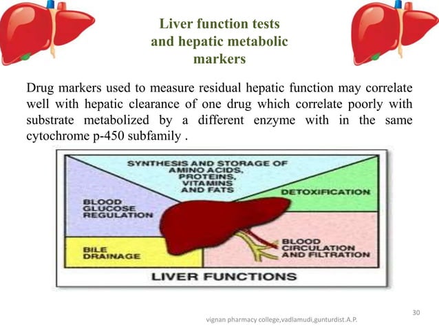 Dose Adjustment in renal and hepatic failure | PPTX | Endocrine and ...