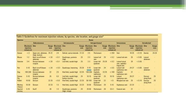 Dose conversion from animal to human | PPTX