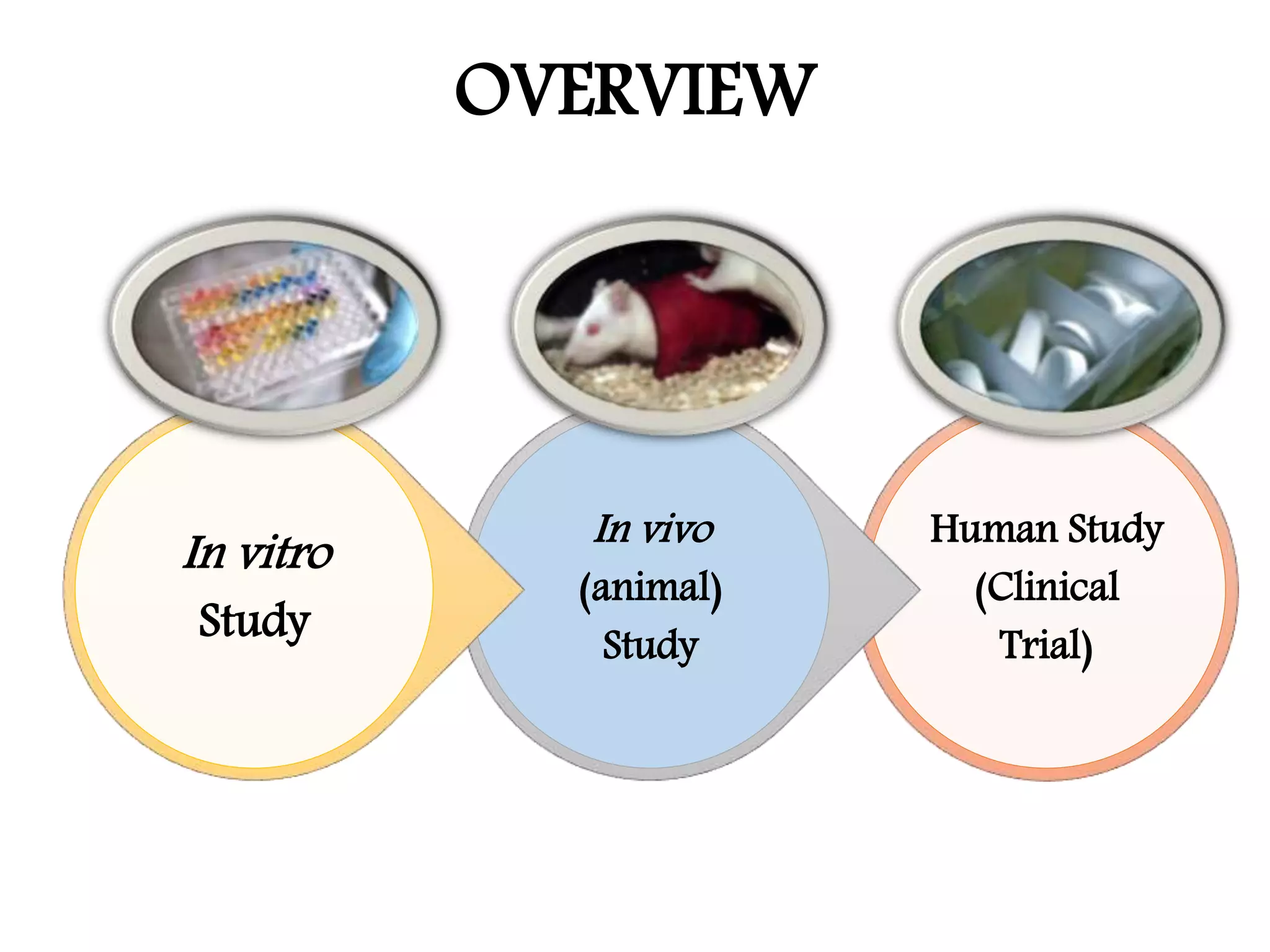 Dose determination in preclinical and clinical studies | PPTX