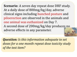 Dose determination in preclinical and clinical studies | PPTX