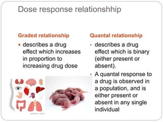 Dose response relationship.ppt pharmacology | PPT