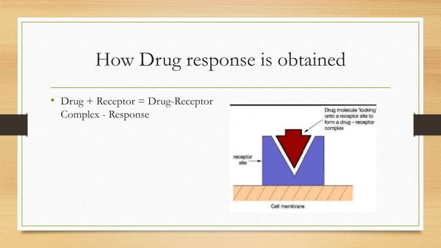 Dose Response Relationship Curve.pptx
