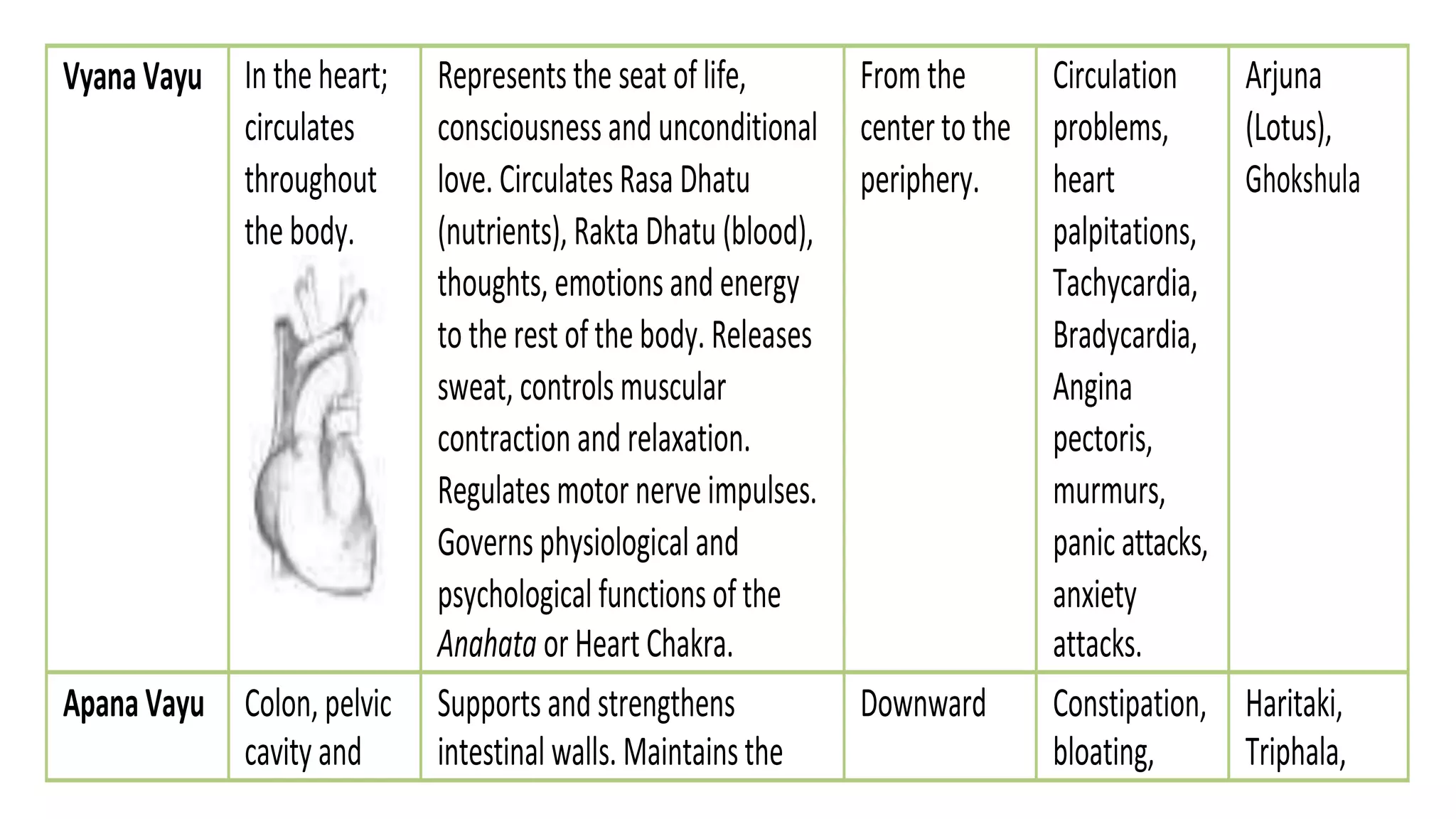 Dosha dhatu mala | PPTX