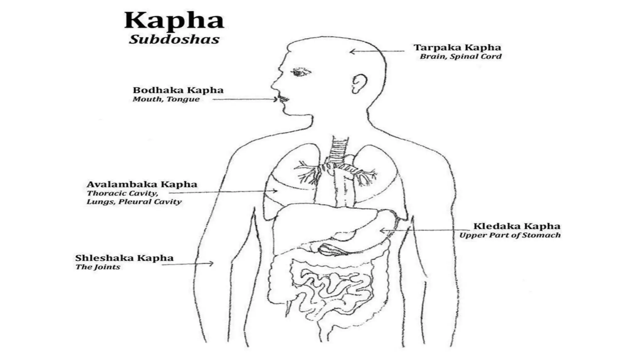 Dosha dhatu mala | PPTX