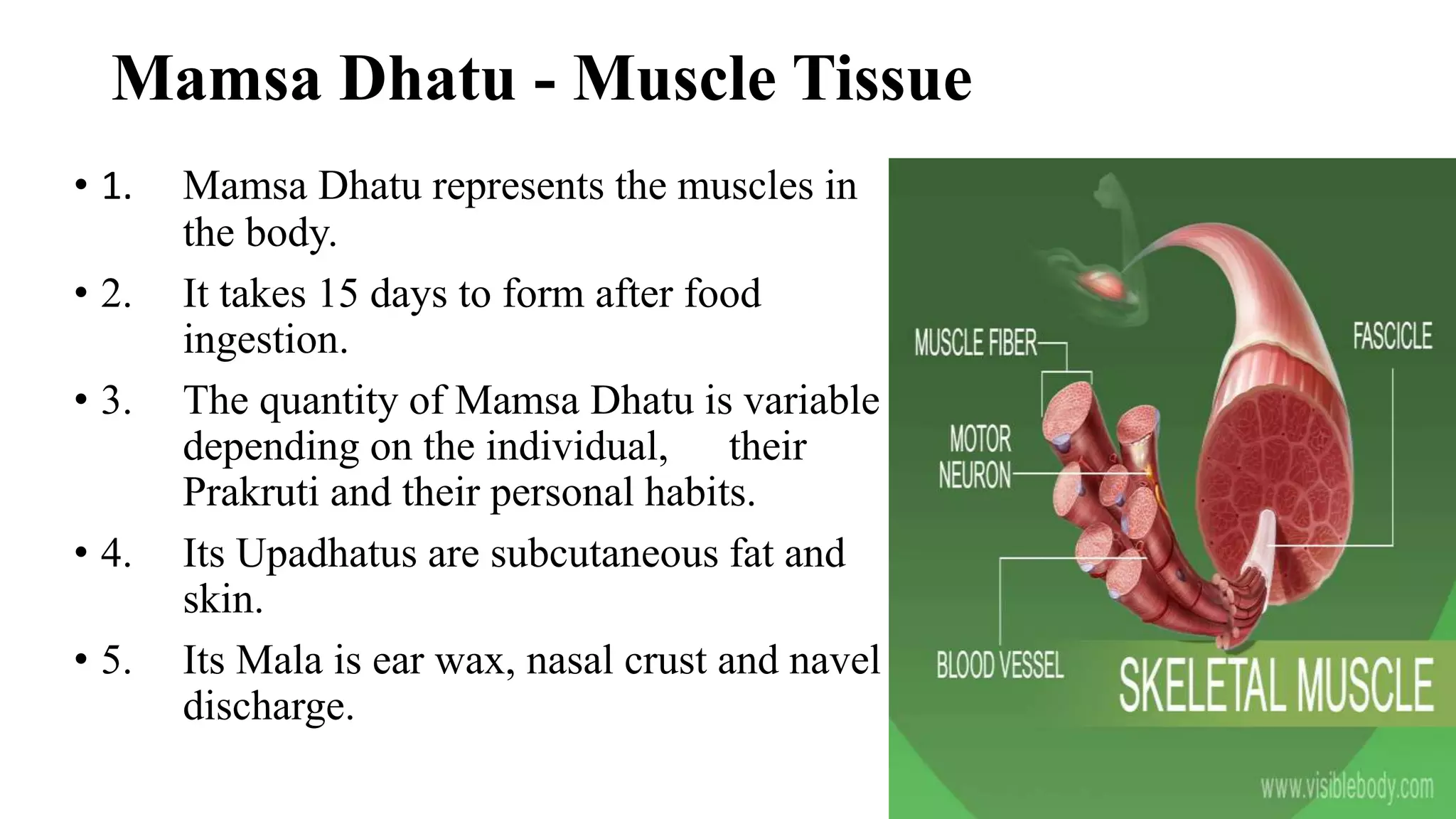 Dosha dhatu mala | PPTX
