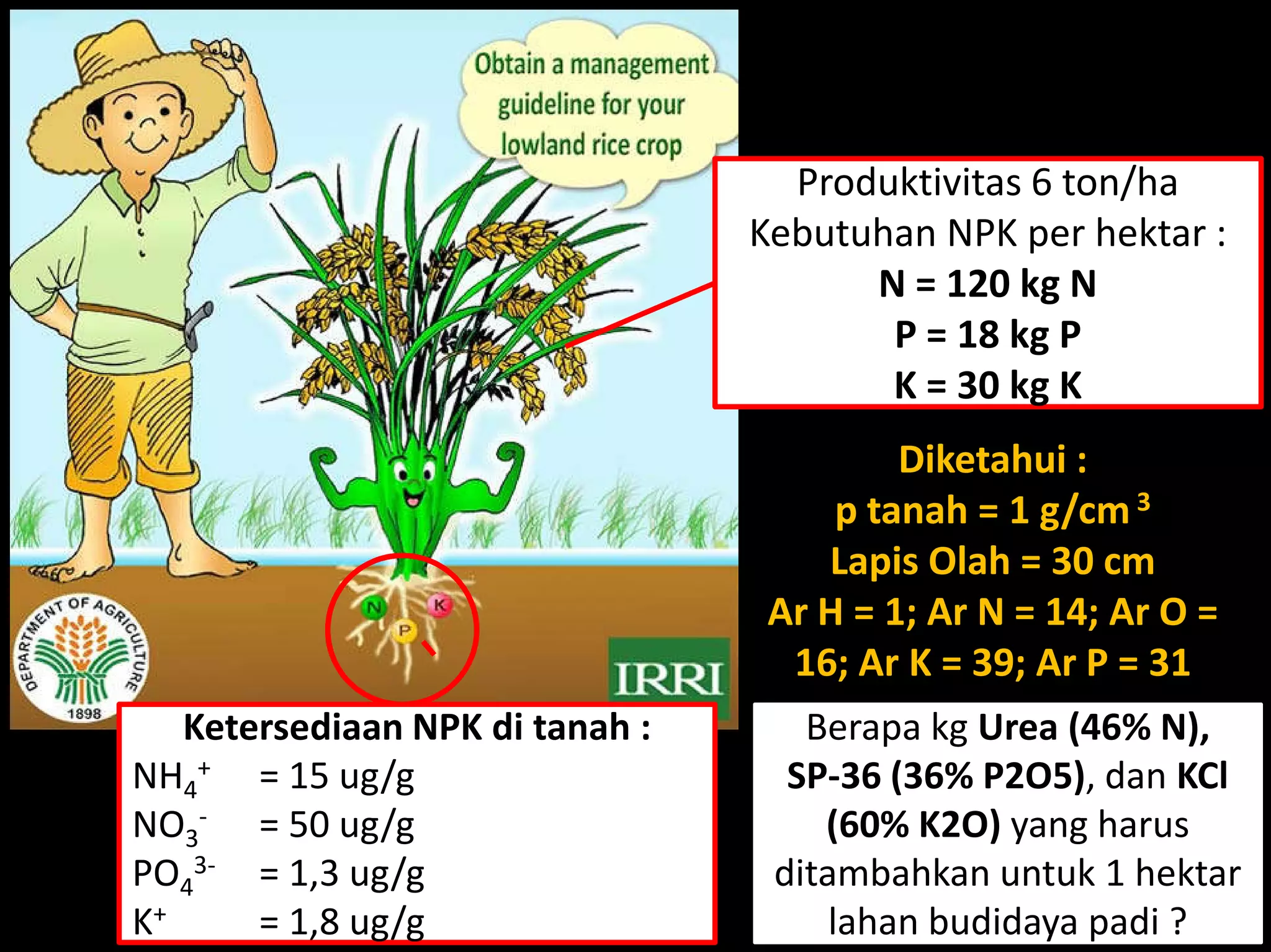 Dosis pupuk dan pertumbuhan tanaman | PDF