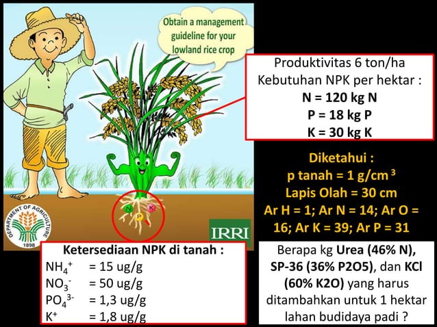 Dosis pupuk dan pertumbuhan tanaman | PDF