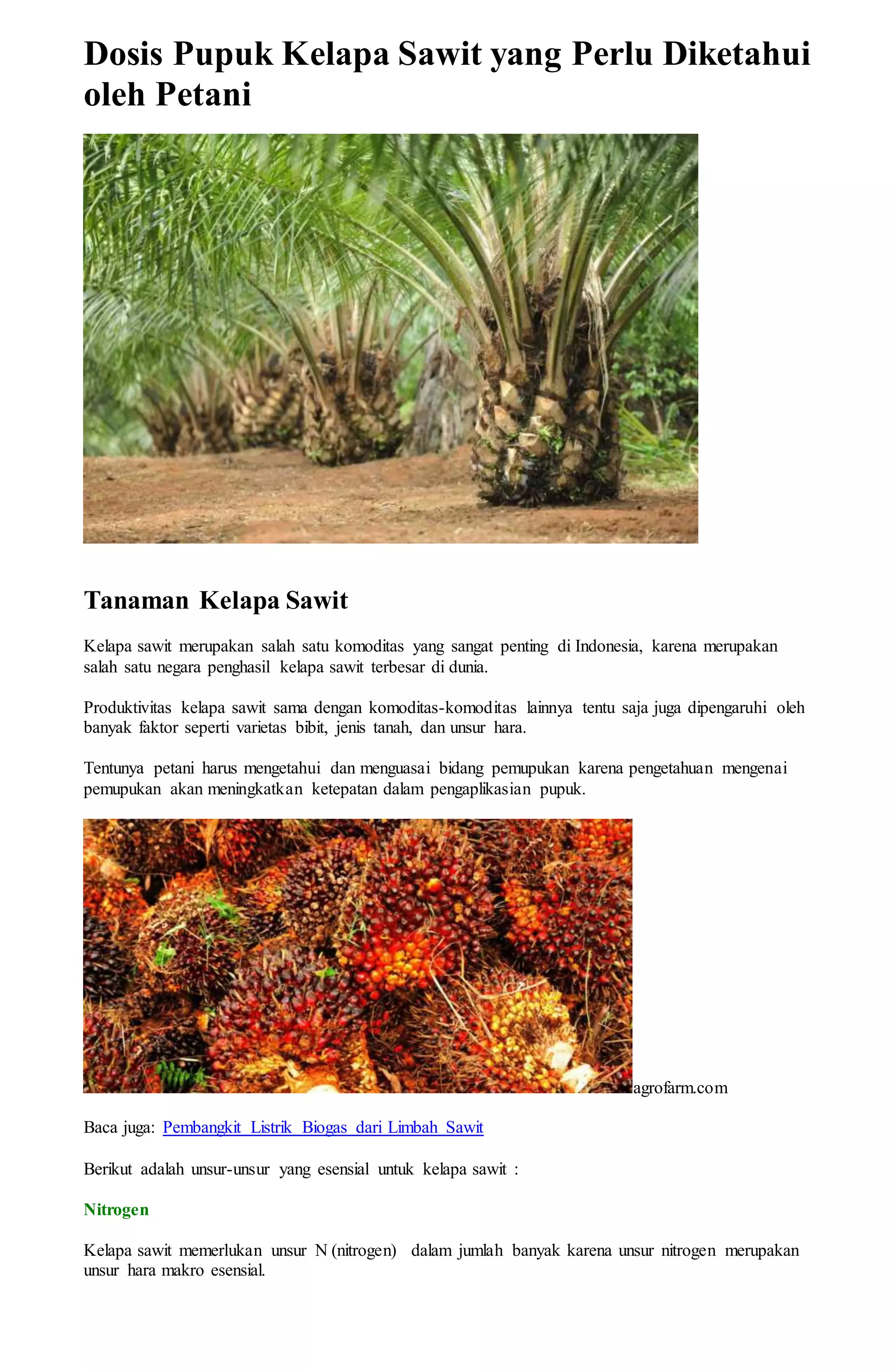 Dosis pupuk kelapa sawit yang perlu diketahui oleh petani | DOCX