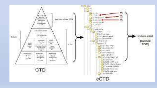 Dossier format and filing.pptx